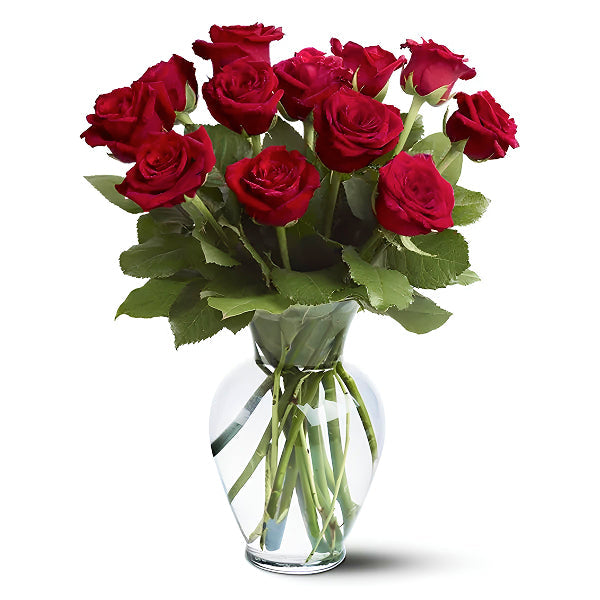 One Dozen Long Stem Red Rose | Buy Online in Rollason Flowers