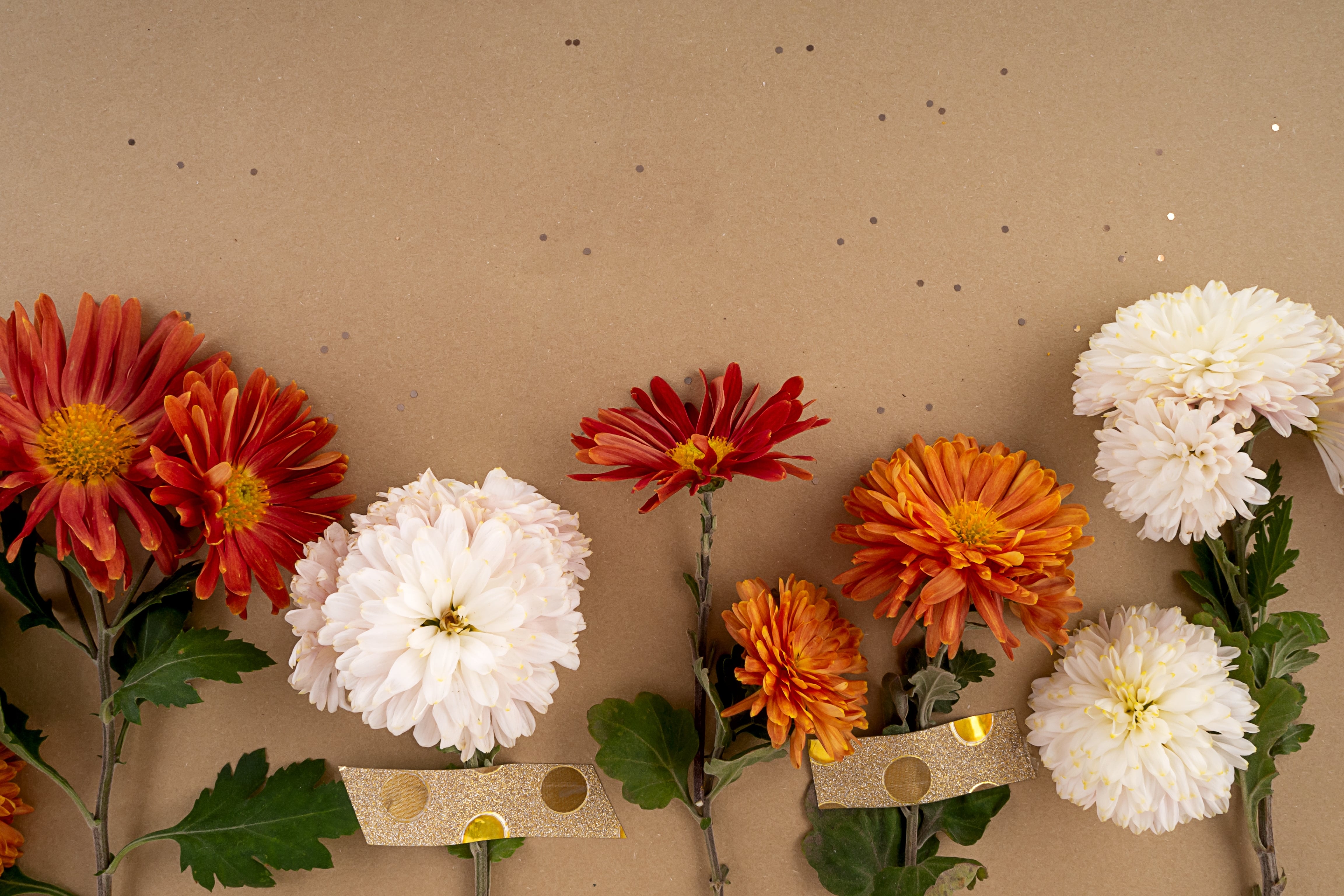 Rollason Flowers | Thunder Bay | Flower Delivery